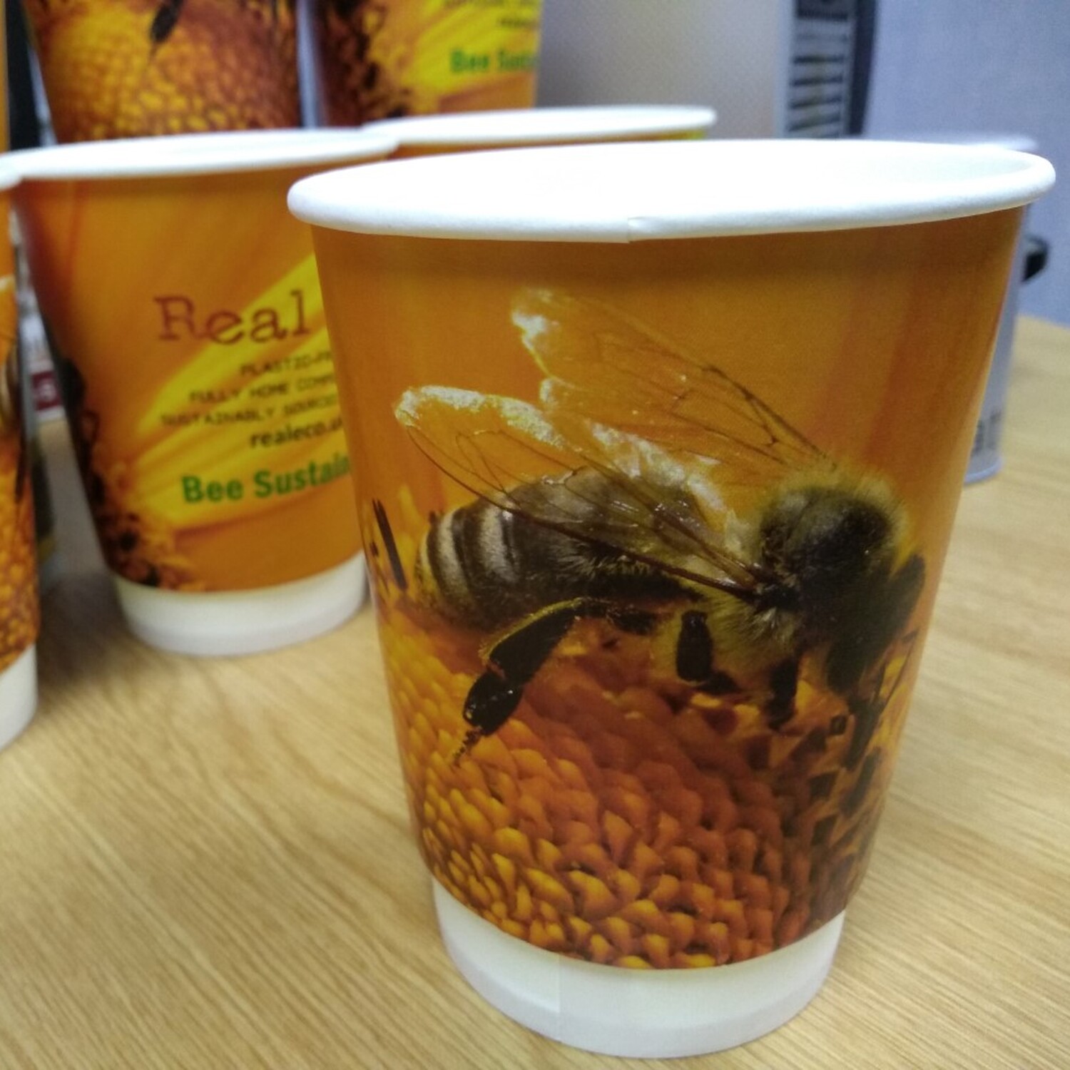 100 x REAL ECO 12oz Double Wall Fully Biodegradible Disposable Paper Cups