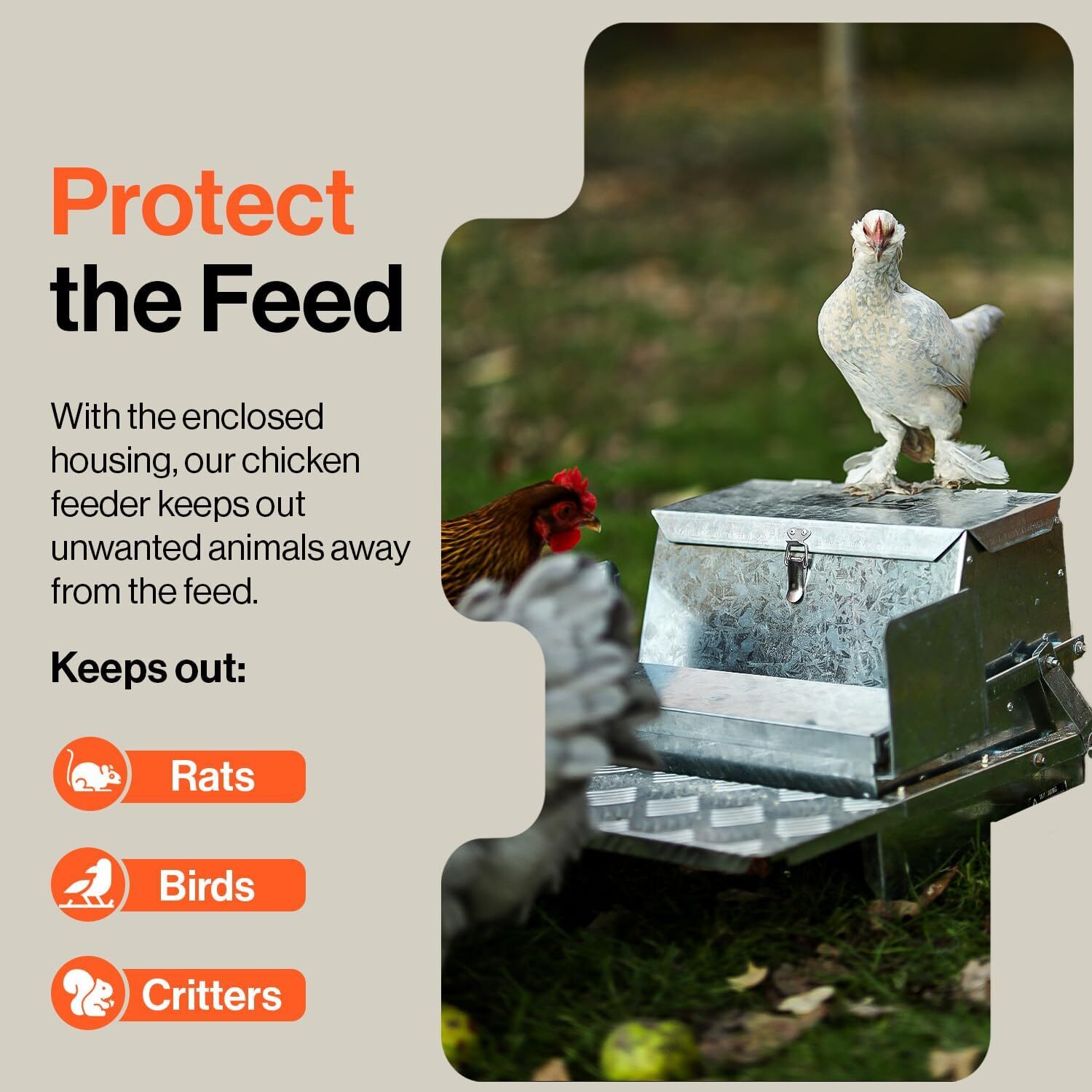 Automatic Spill Proof Galvanized Steel Chicken Feeder GBTS016