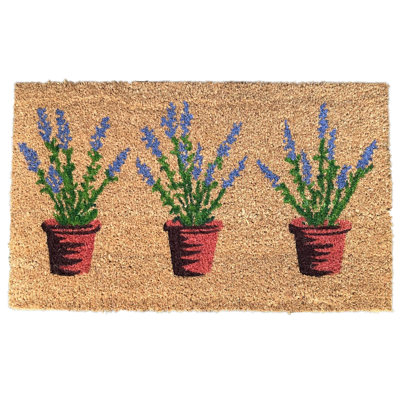 Indoor and Outdoor Coir Doormats