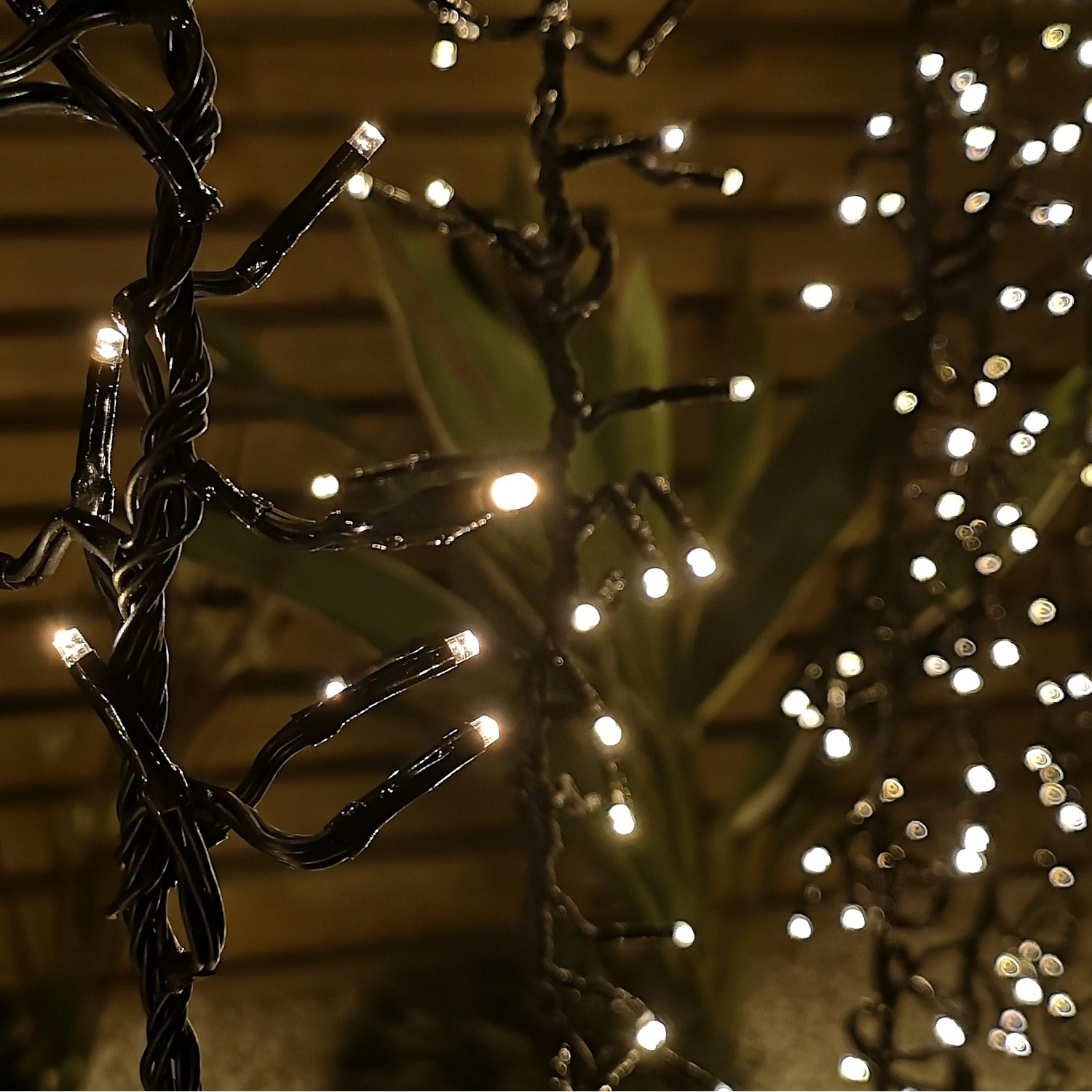 Set of Drop Tree Multi Action Christmas Cluster Brights with LEDs
