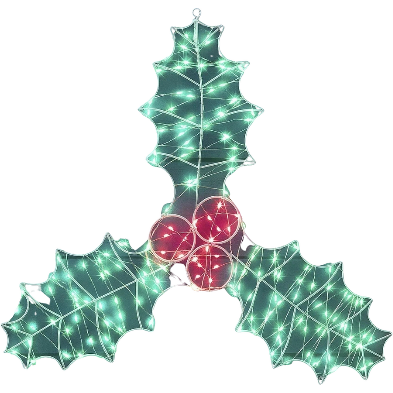 Christmas Holly Rope Light LED