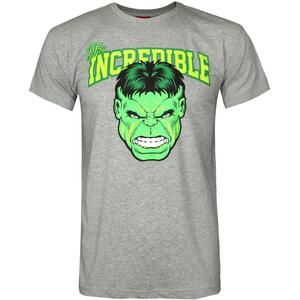 Marvel The Hulk Logo Adult Short Sleeved T-Shirt