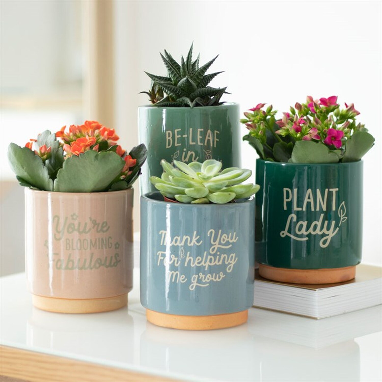 Speckle Blooming Fabulous Text Dolomite Plant Pot