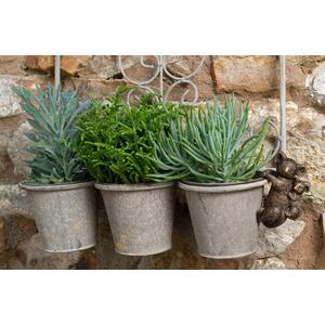 Koala and Cub Plant Pot Hanger