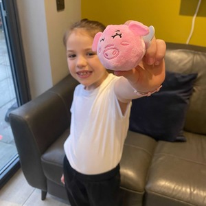 When Pigs Fly Game