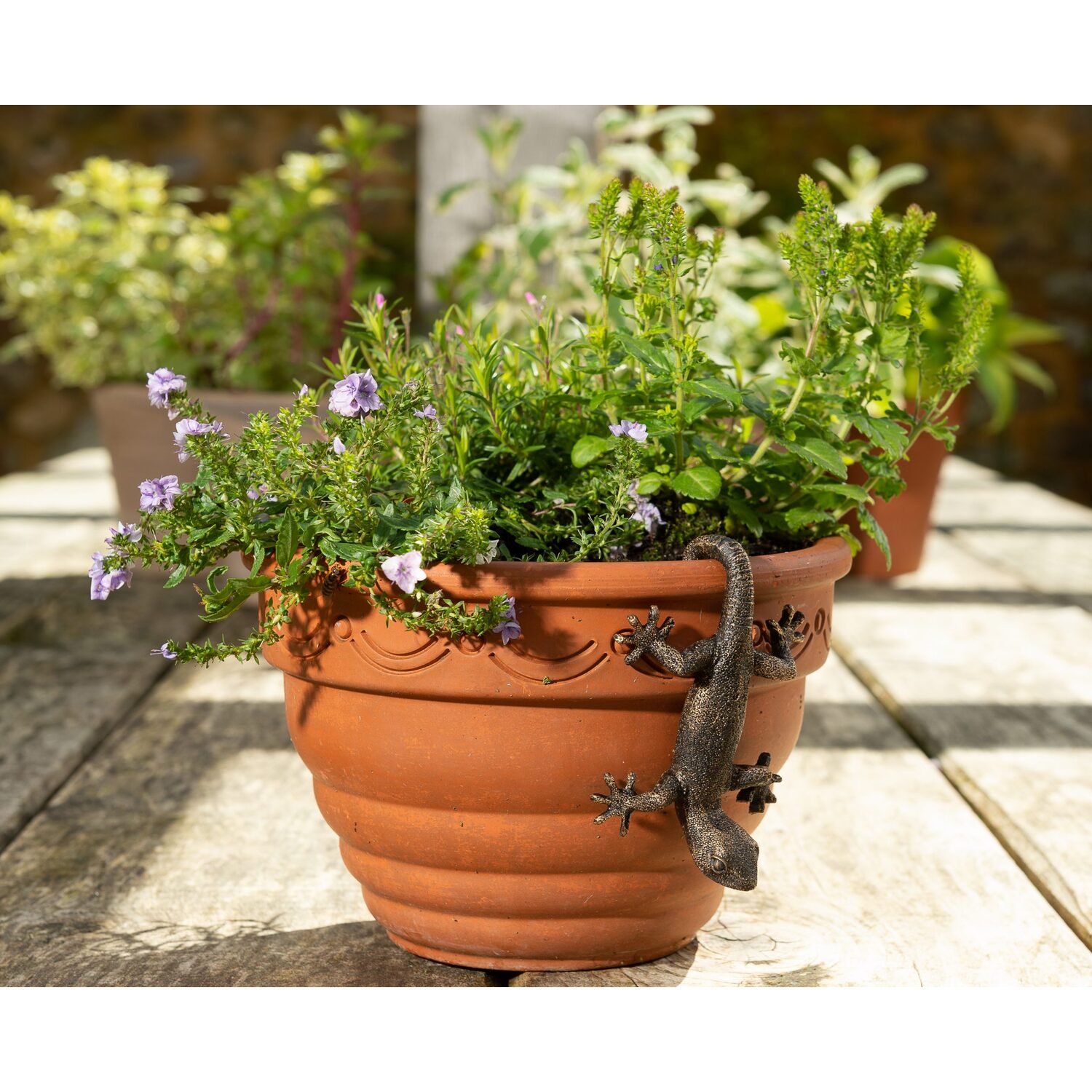 Antique Bronze Coloured Gecko Pot Buddy Plant Pot Hanger