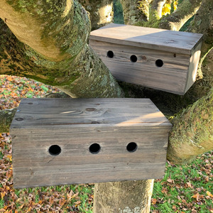 Sparrow Colony Terrace Wooden Nesting Box
