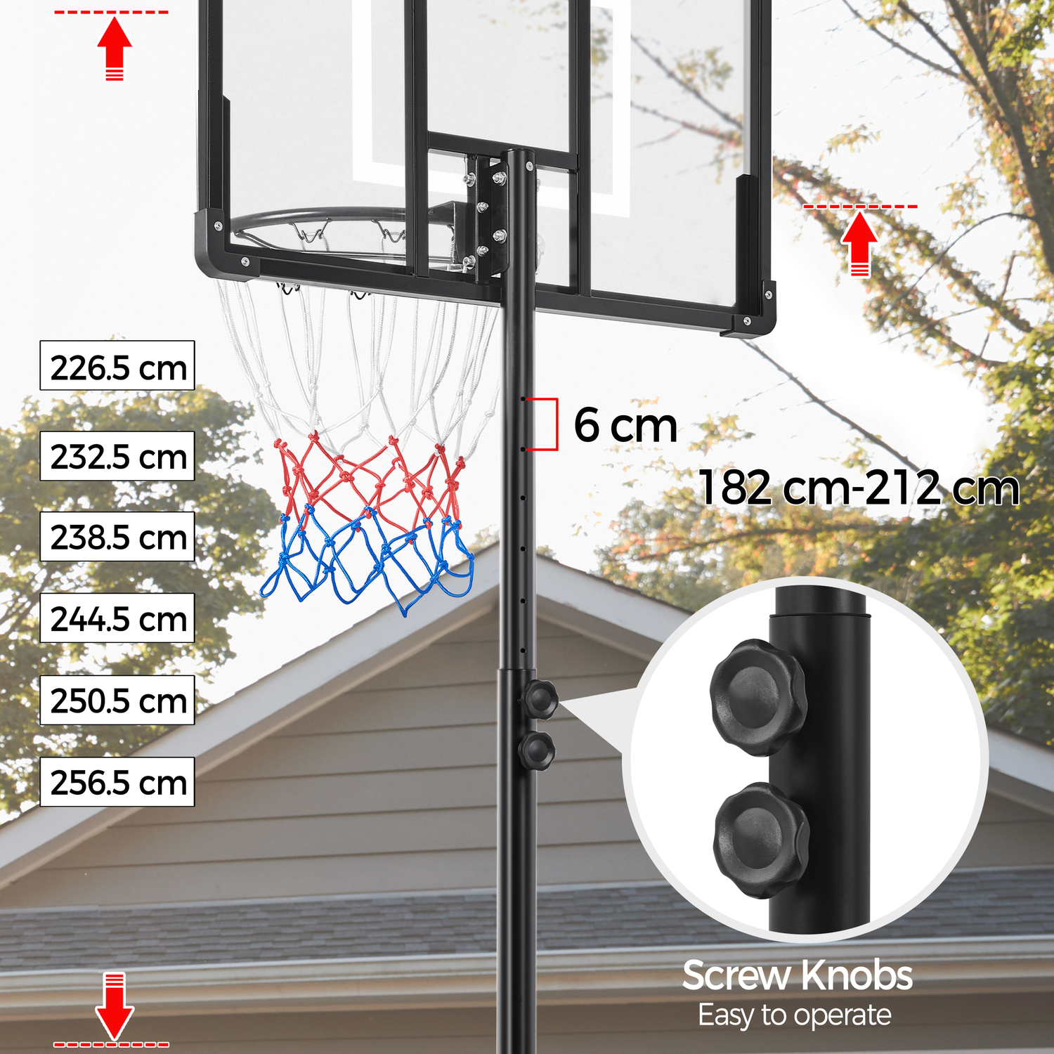 Portable Basketball Hoop with PVC Backboard