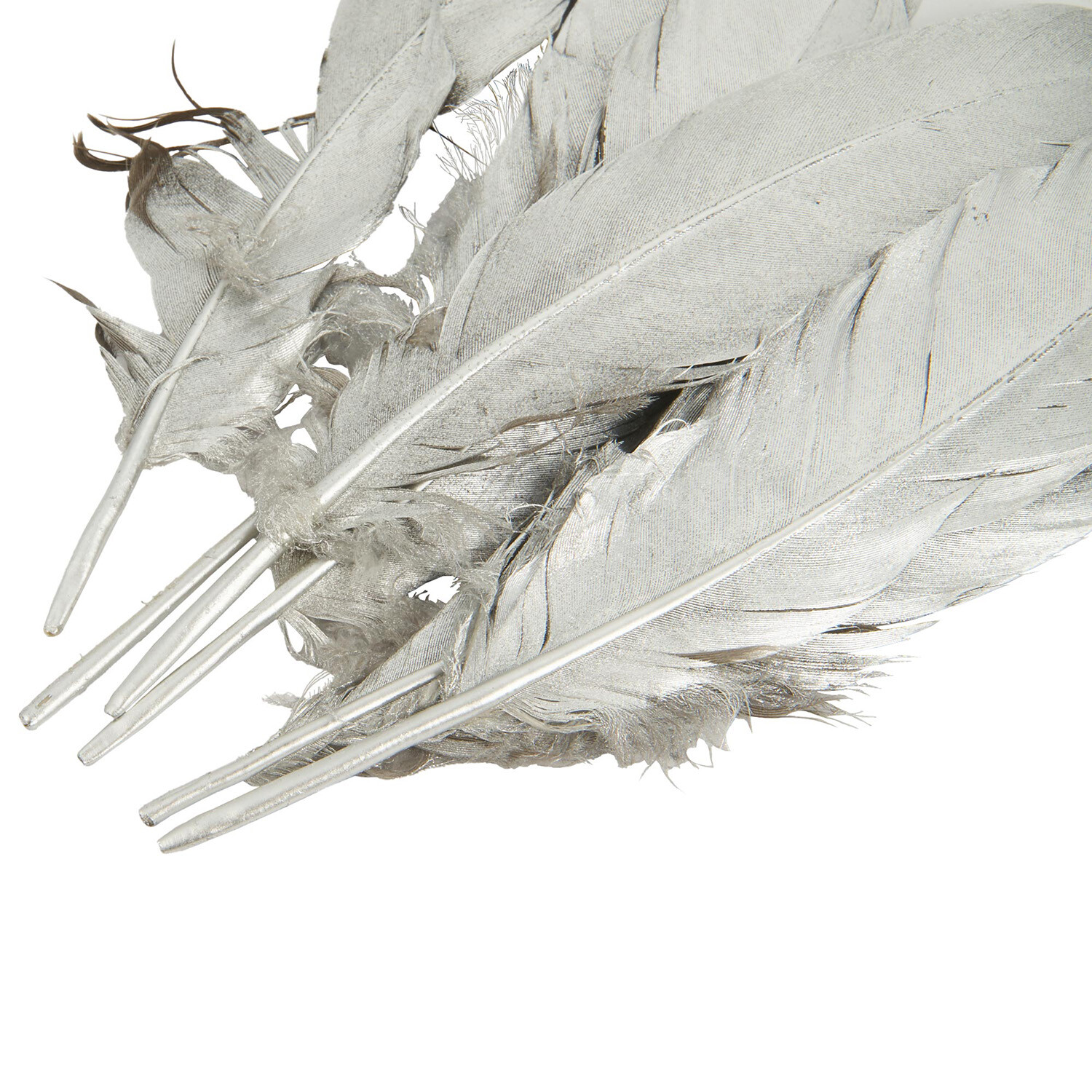 Pack of 6 True Moments Gold or Silver Feathers