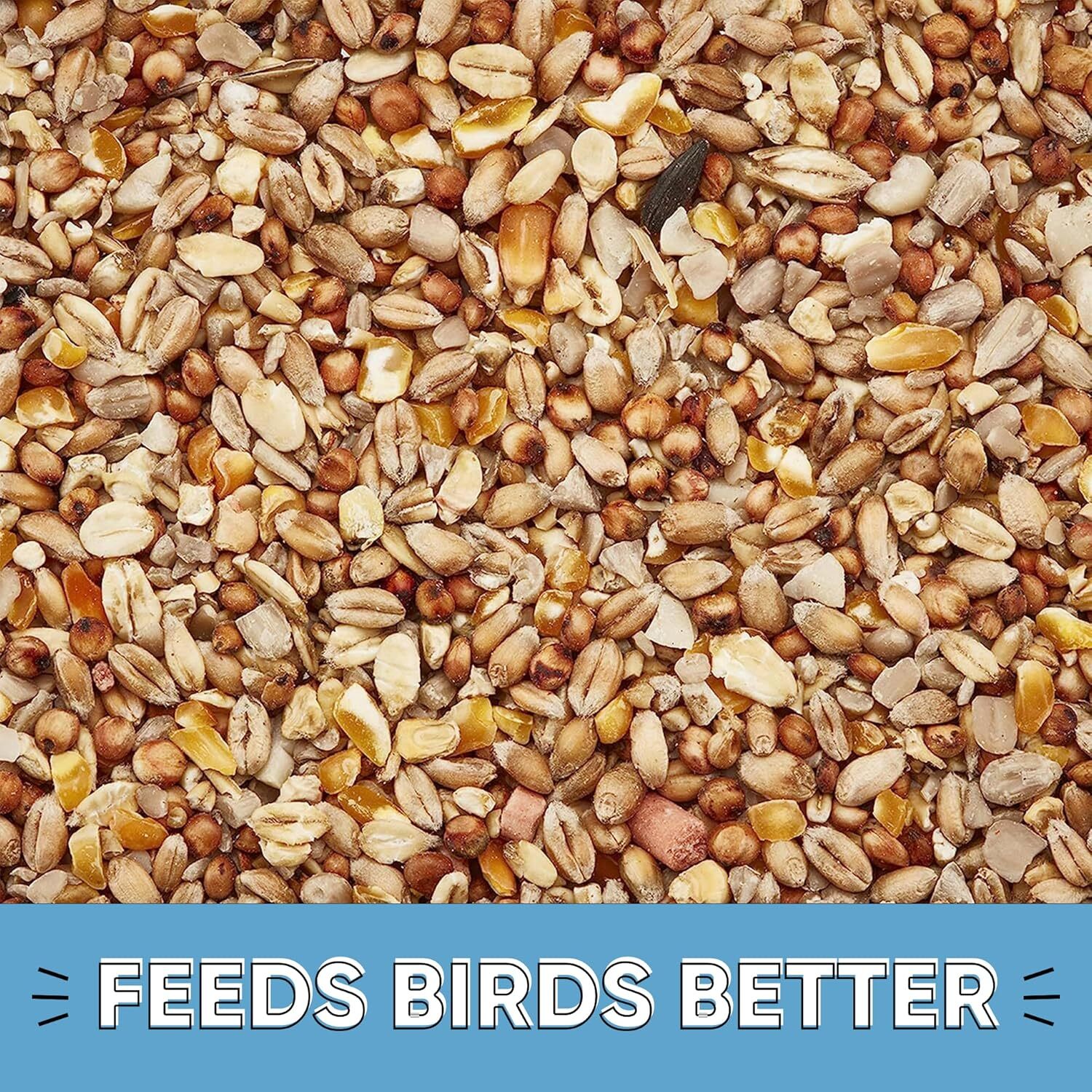 Robin and Songbird Wild Bird Food Mix