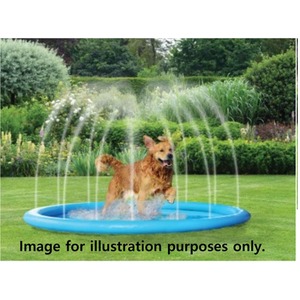 Dog Sprinkler splash pool