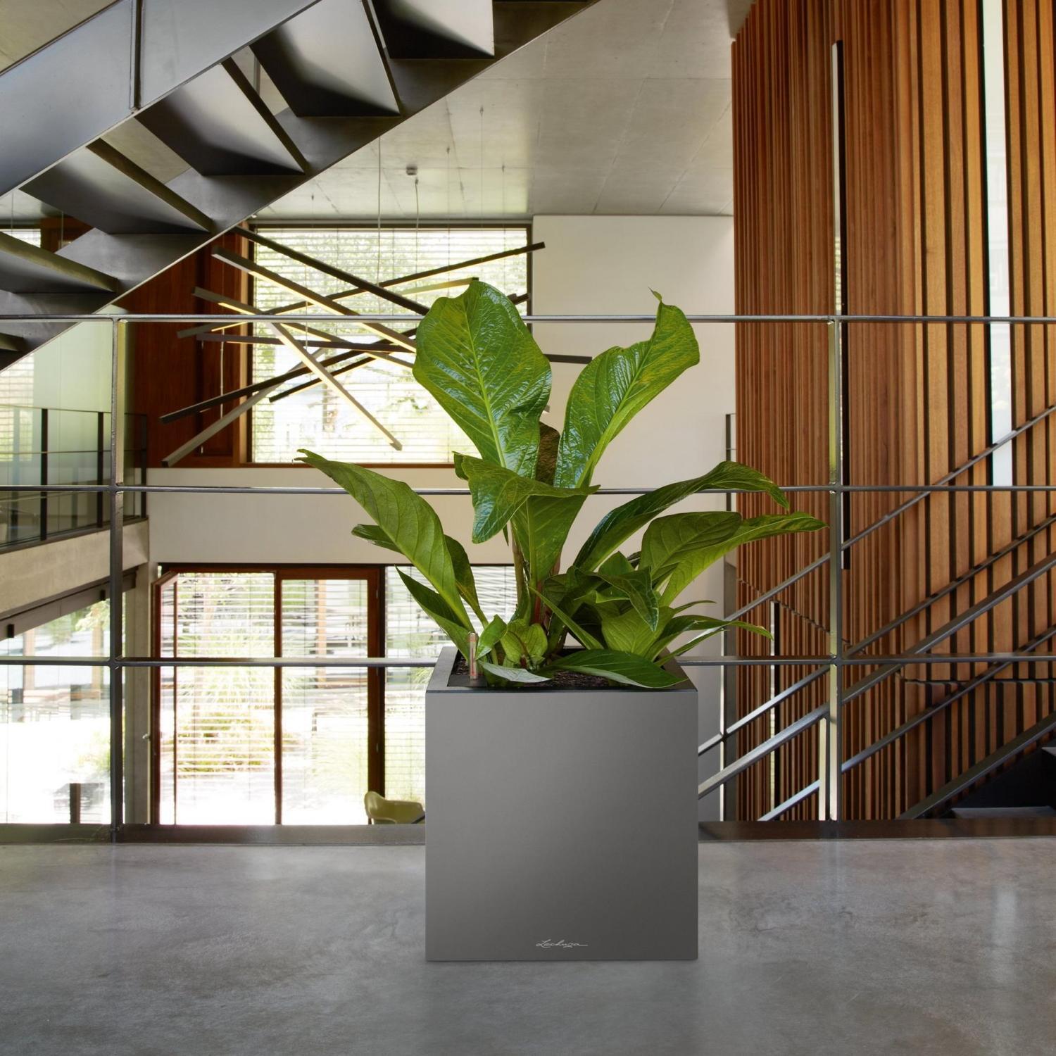 Canto Low Square Self-watering Planter
