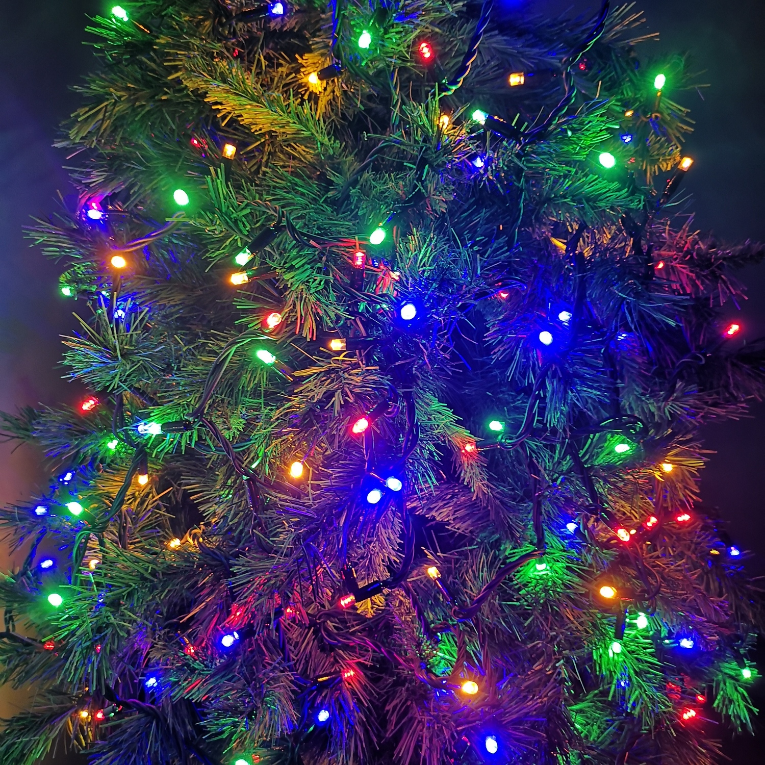 100 LED Multicolour 10m Heavy Duty Connectable Christmas Lights