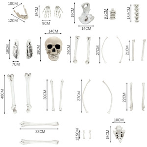 Halloween Realistic Skeleton Decoration Kit