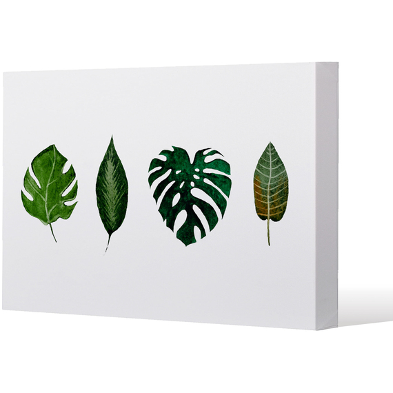 leaves selections Canvas Print
