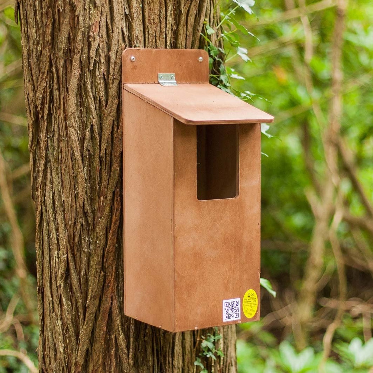 Little Owl Large Bird Nest Box
