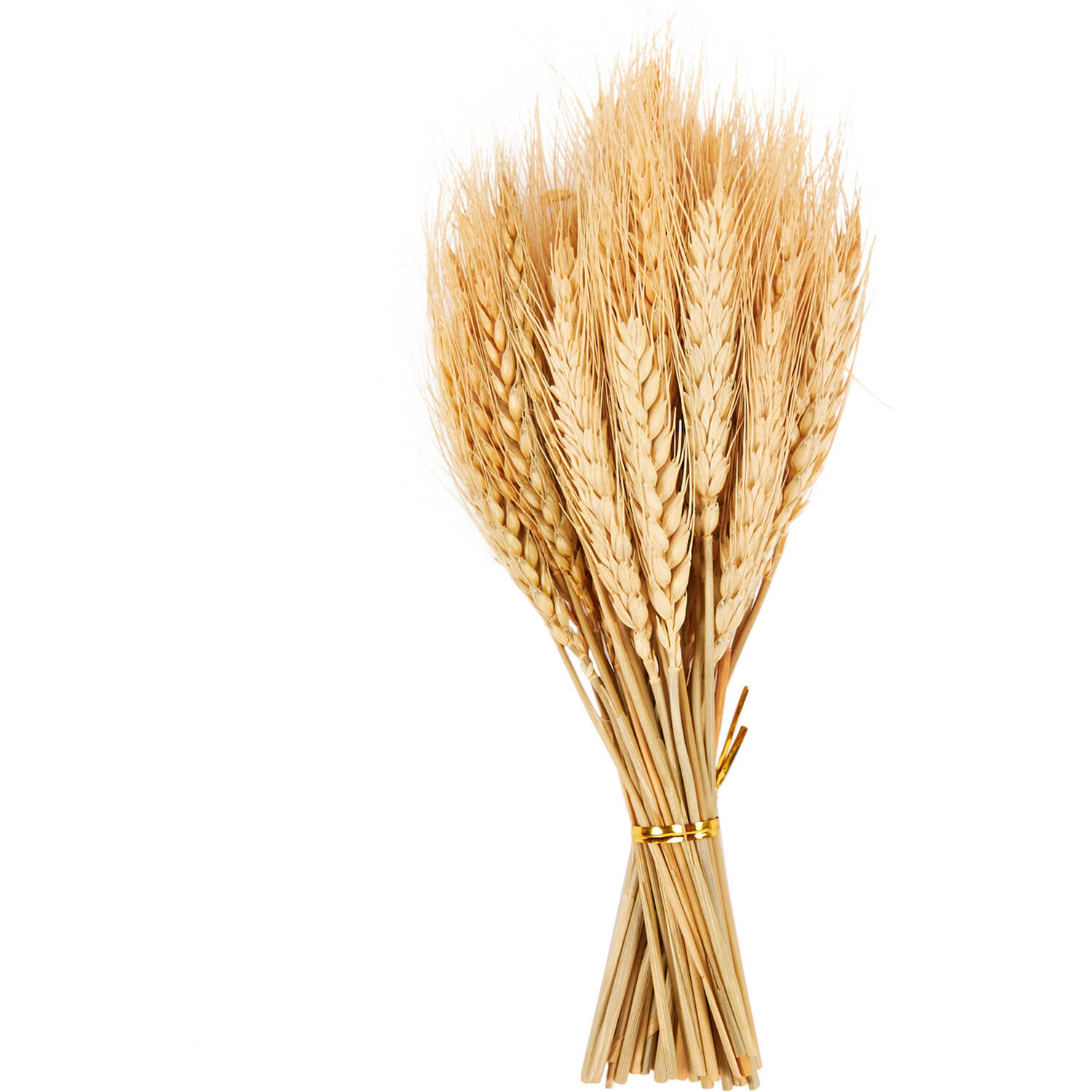 Hares Tail Grass or Wheat Decorative Picks