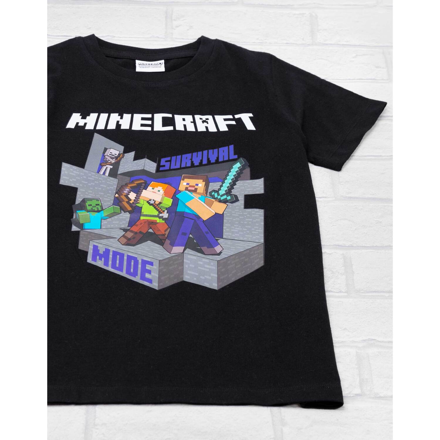 Minecraft Alex And Steve Placement Print Boys Short Sleeved T-Shirt