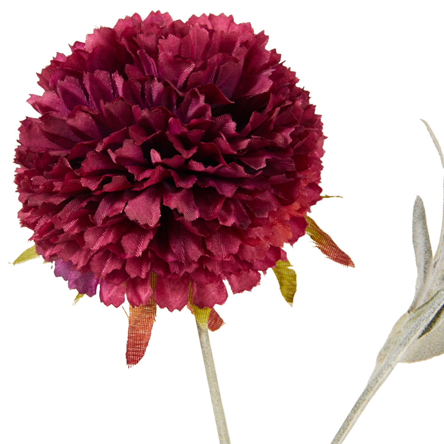 Purple or Berry Pom Pom Stem