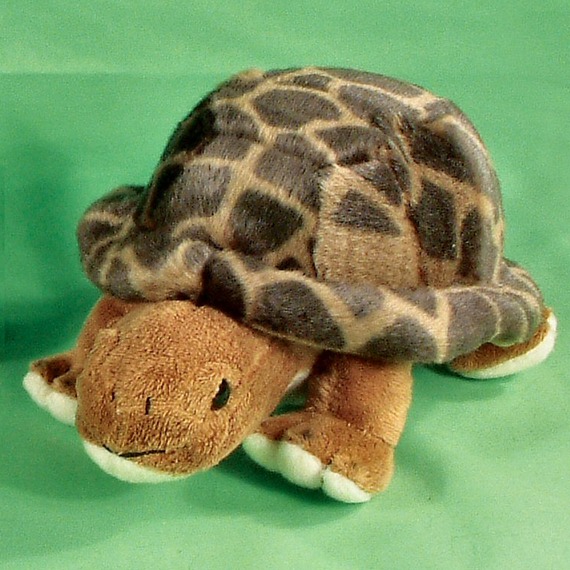 Tortoise Soft Plush Toy