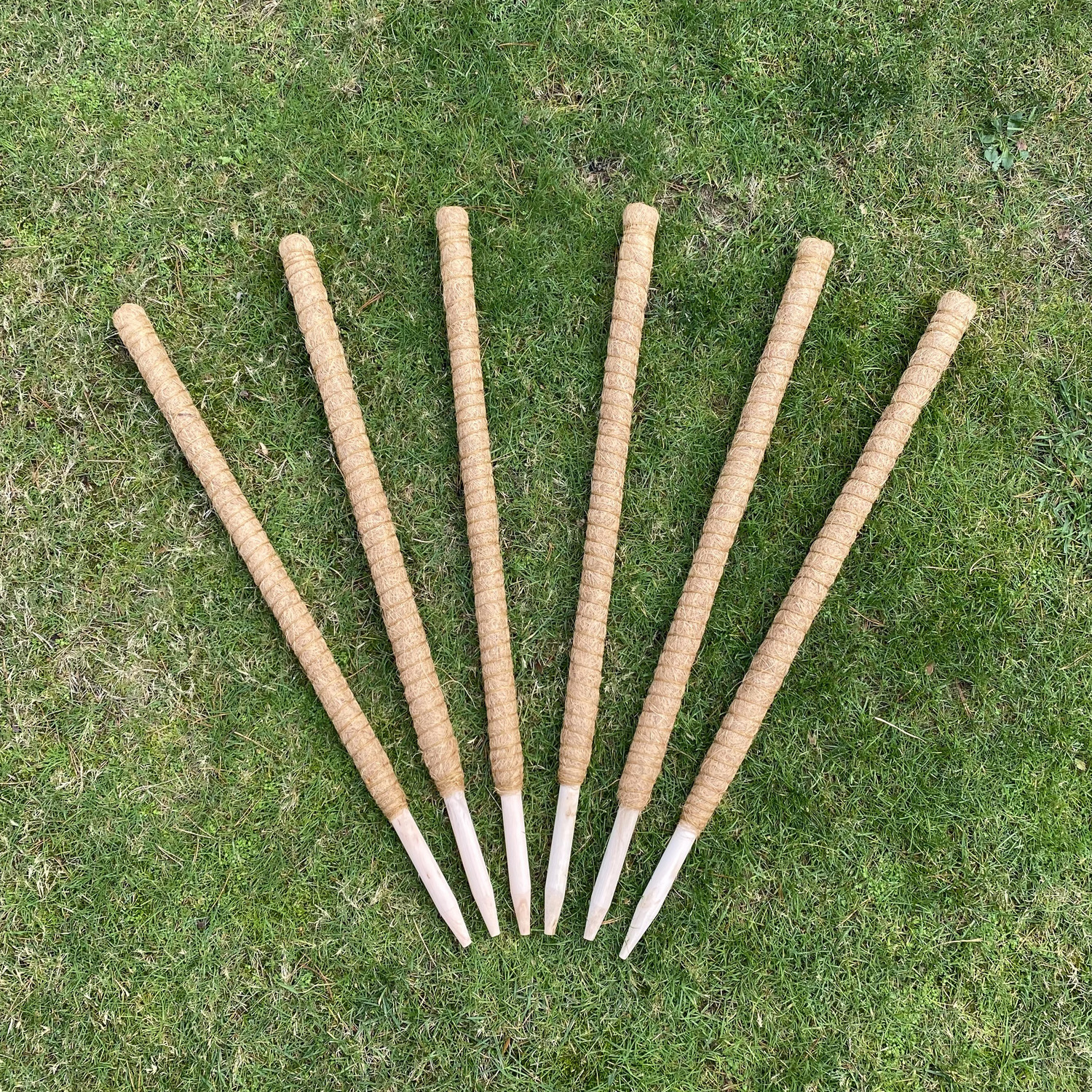 Coco Fibre Palm Stick Plant Supports