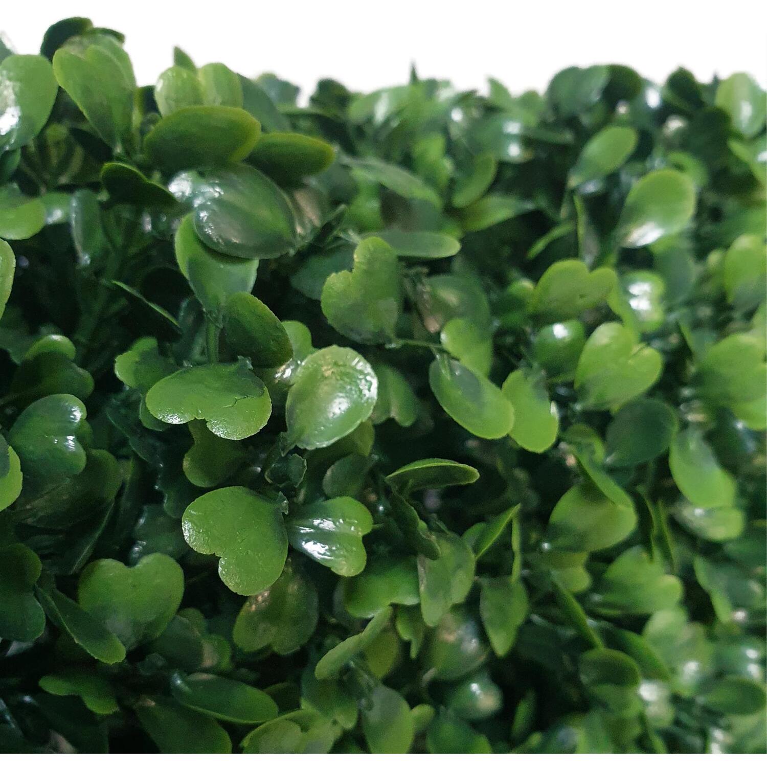 Premium Freestanding Artificial Boxwood Hedge on a Metal Frame