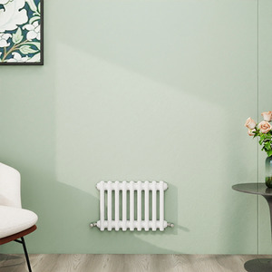 Horizontal Traditional Cast Iron 2 Column Radiator