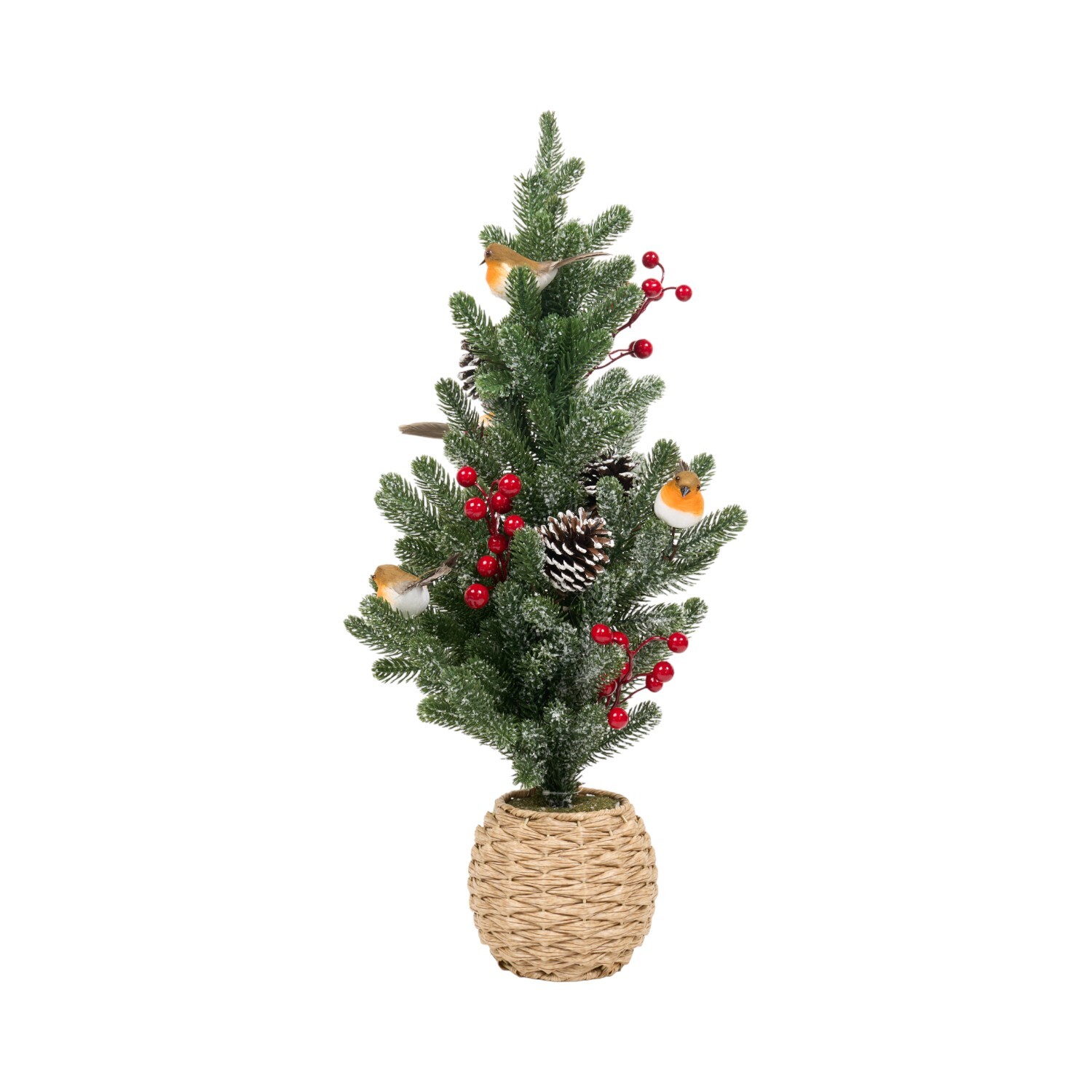 Robin Berry Potted Tree