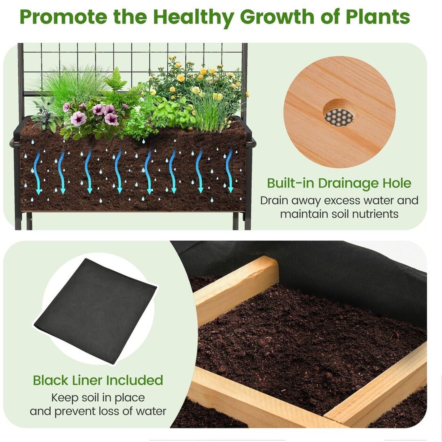 Wooden Elevated Planter Box with Removable Grid Divider