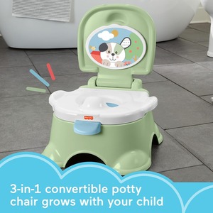 3 in 1 Puppy Perfection Potty Training Seat And Step Stool