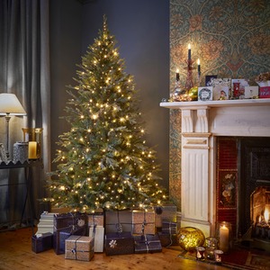 Shop by Tree Size - Christmas Trees | The Range
