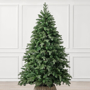 Fraser Fir Christmas Tree