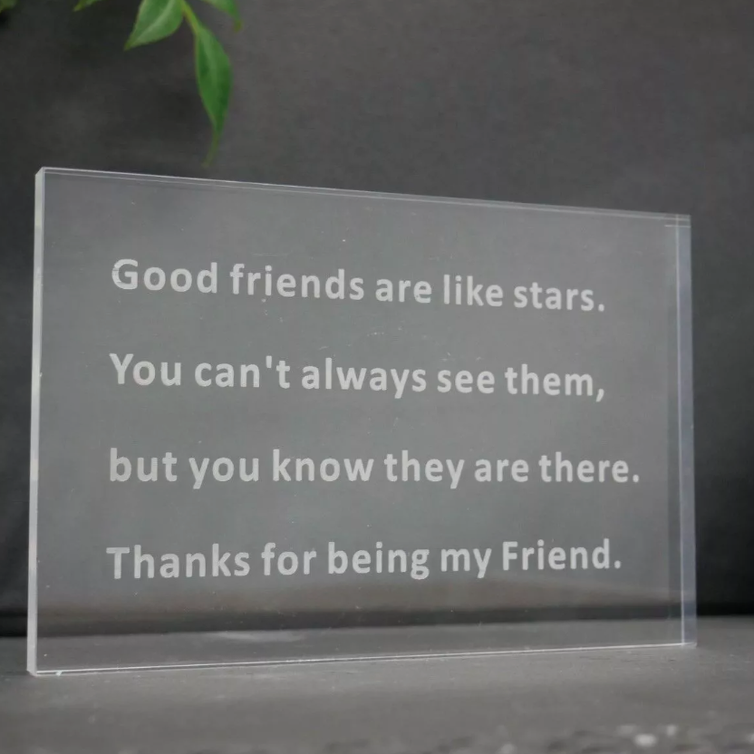 Good Friends Acrylic Plaque Paperweight