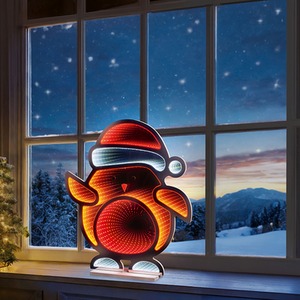 Robin Christmas Infinity Mirror Light Decoration LED Xmas Light 60cm