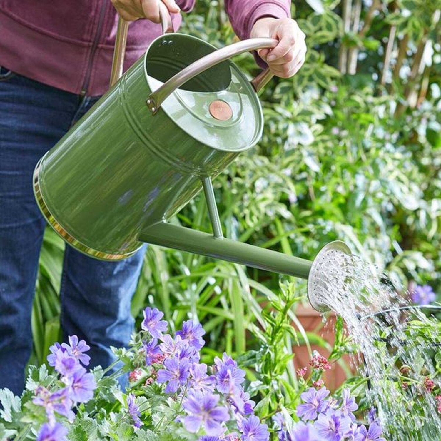 Metal Watering Can Various Designs