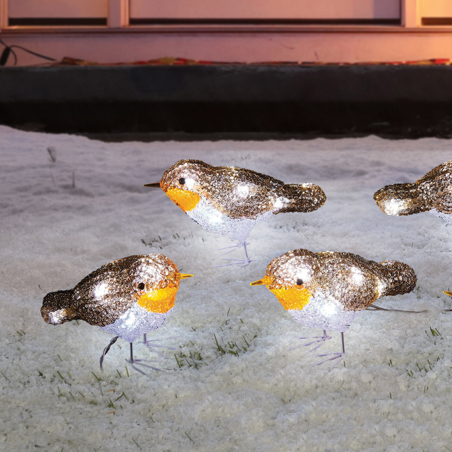 Pack of 5 Acrylic Robin Lights