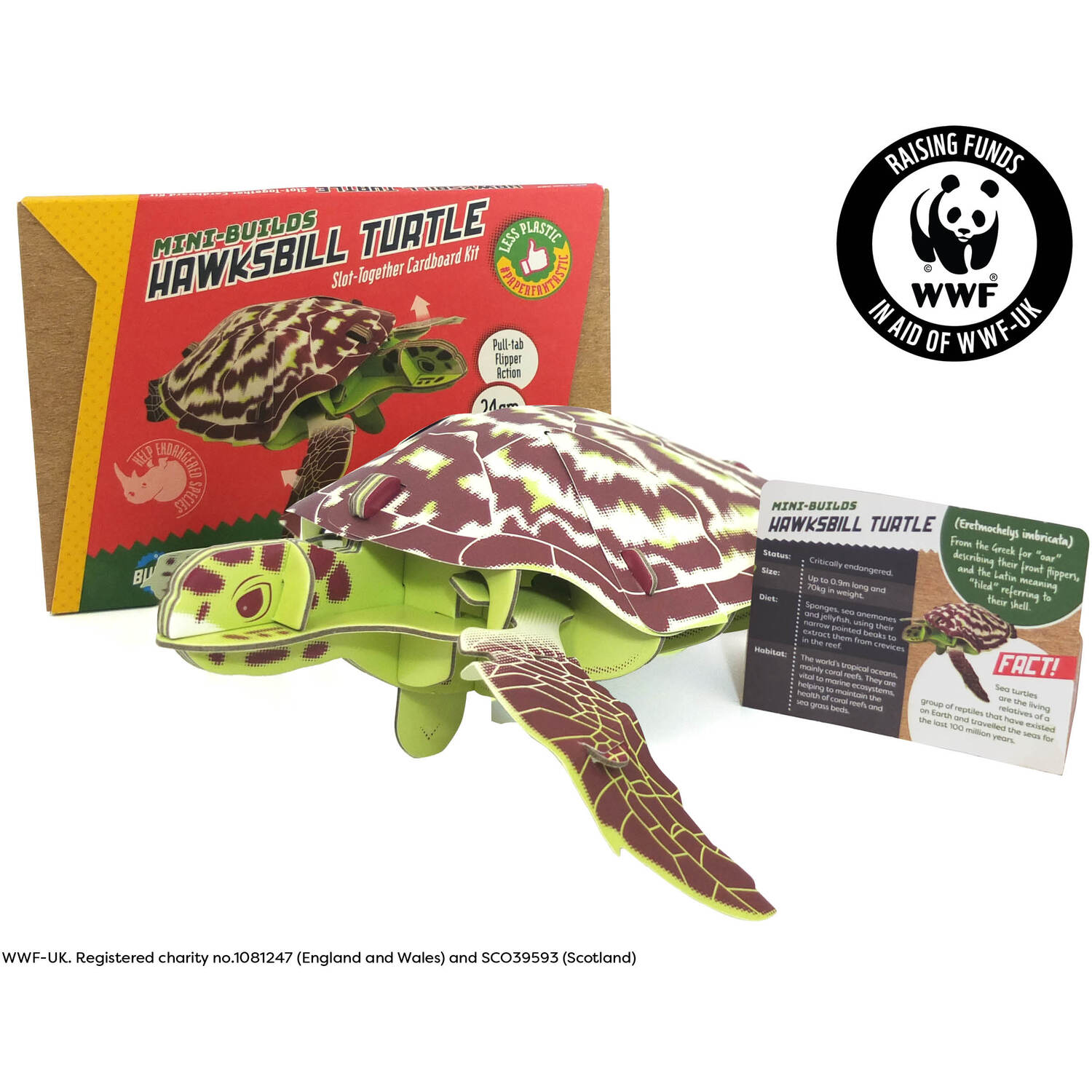 Build Your Own Hawksbill Turtle