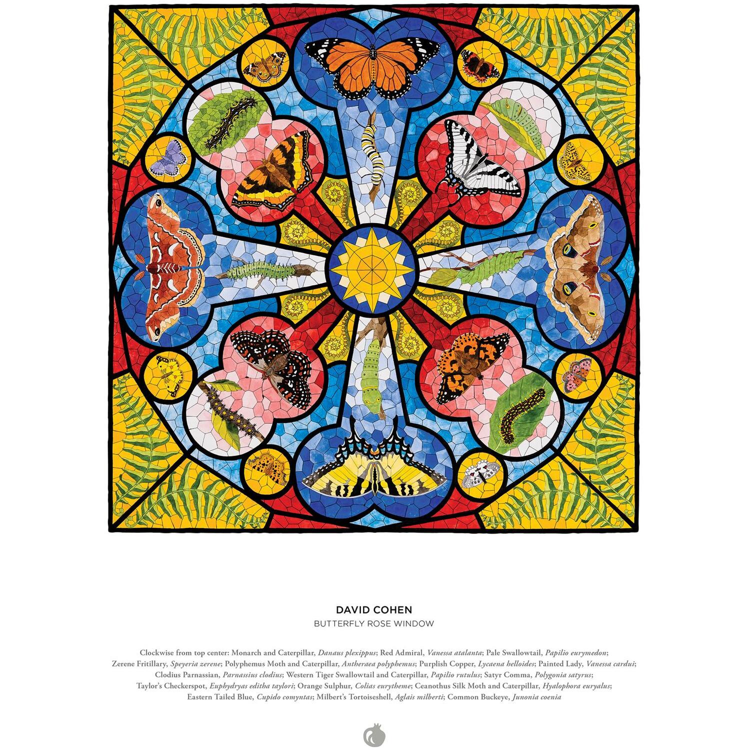 David Cohen Butterfly Rose Window 1000 Piece Jigsaw Puzzle
