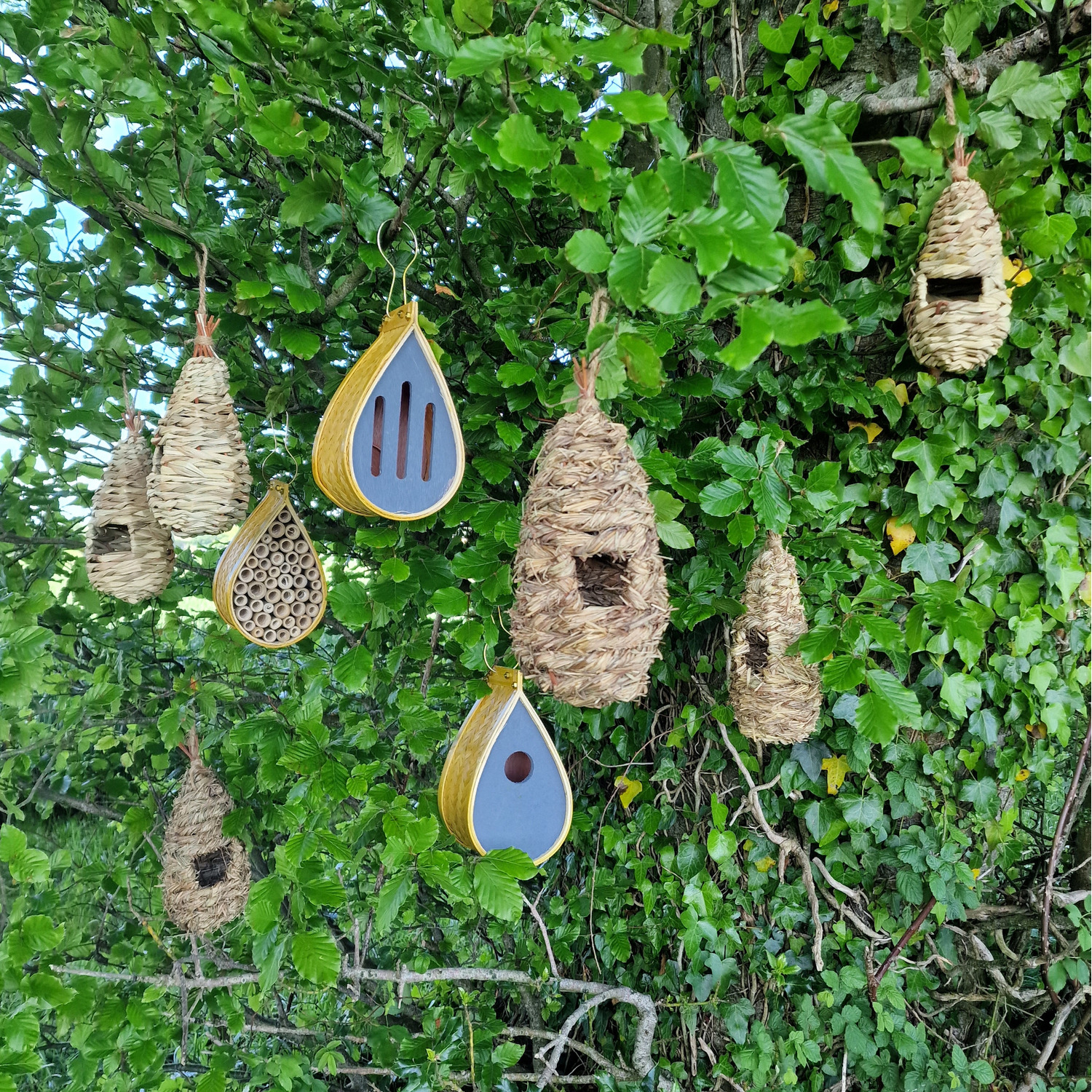 Hanging Bird Nest, Insect and Butterfly House and Bird Roost Habit Pack