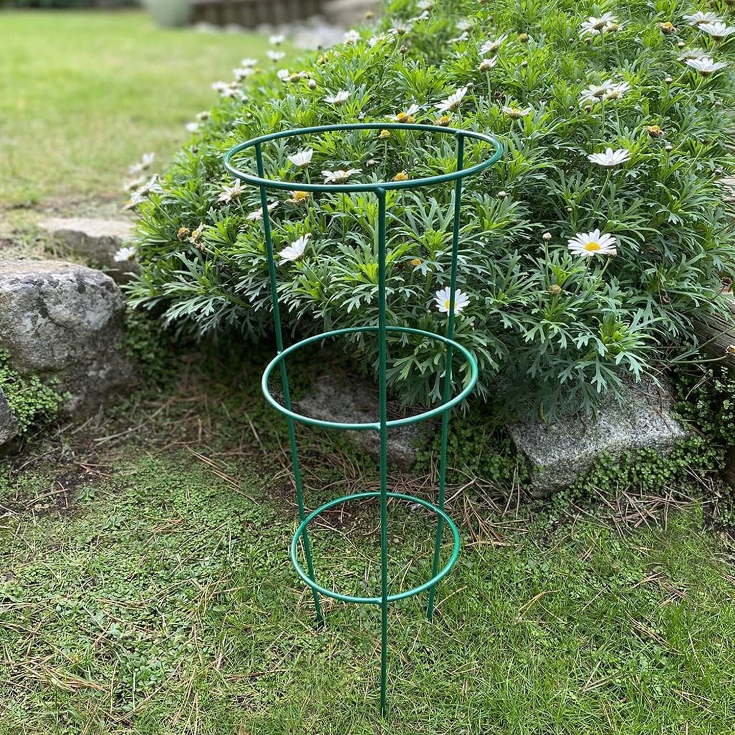 Garden Plant Support Ring