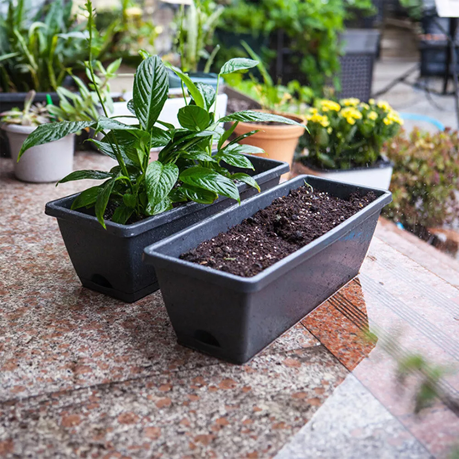5 Piece Plastic Trough Planter Set with Drainage Base