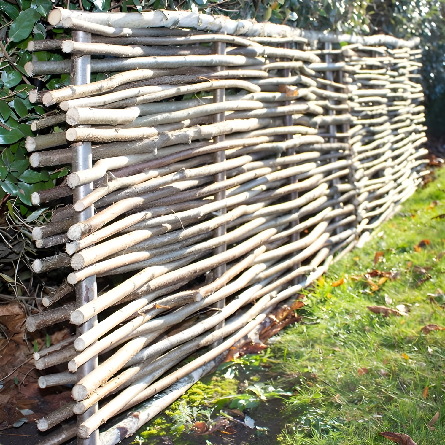 6ft Premium Hazel Weave Hurdle Fencing Panel Birchwood Capped