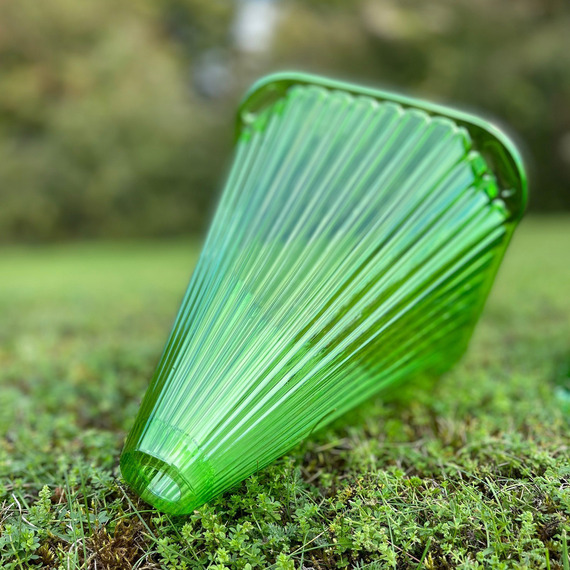 Plastic Slug and Snail Plant Protection Collars