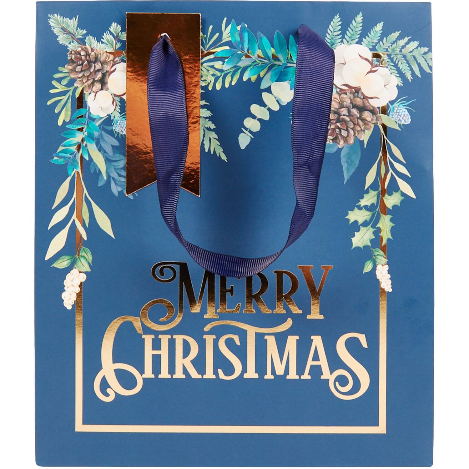 Magic In the Dark Christmas Gift Bag