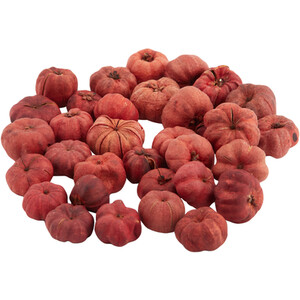 Mini Pumpkins Potpourri