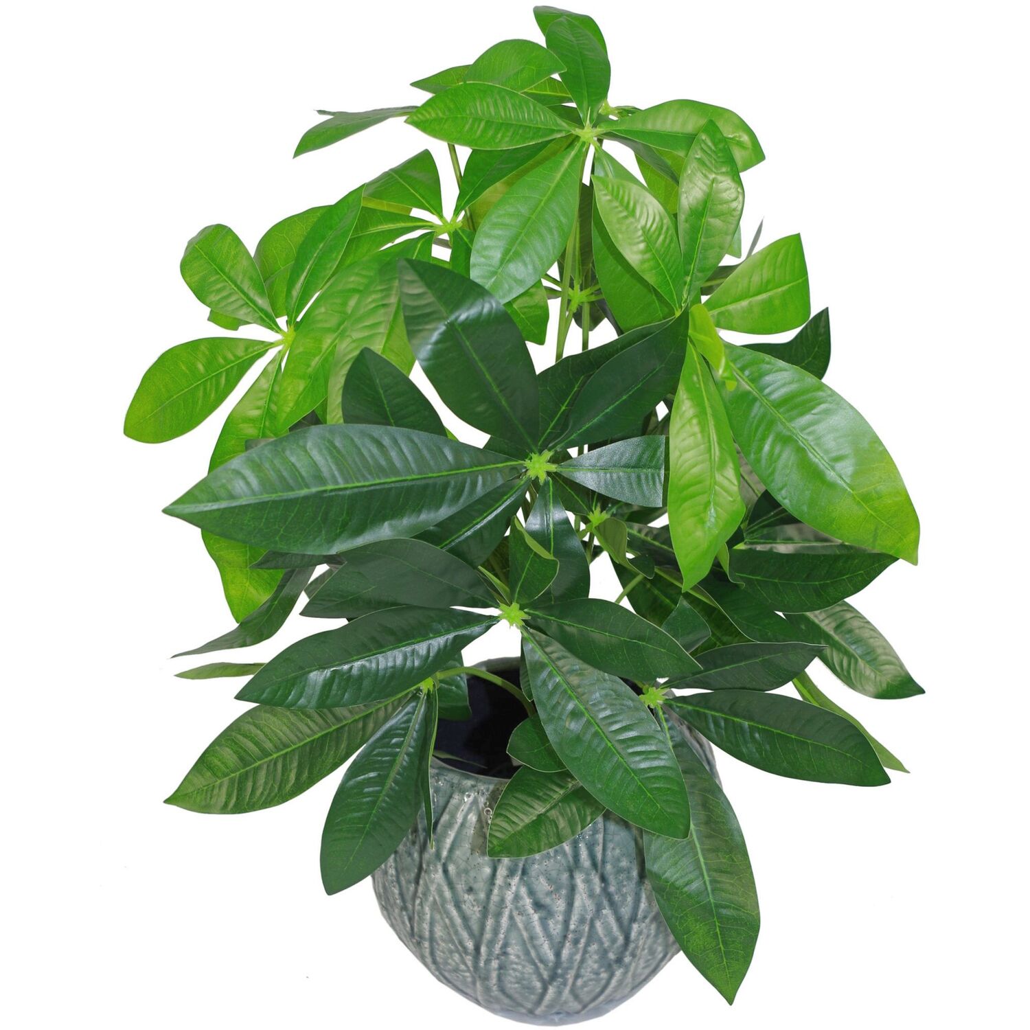 Artificial Money Tree Plant with Evergreen Leaves