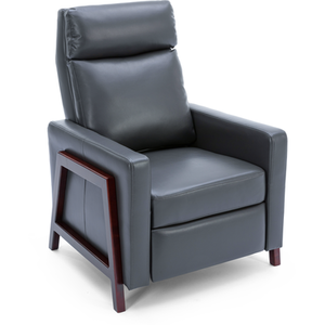Riley Push Back Air Leather Modern Recliner Chair
