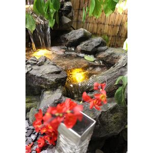 Wood Stream Water Courses Water Feature