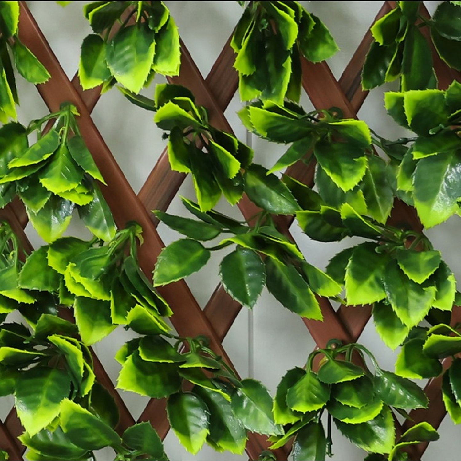 1 x 2m Trellis PE Backed Privacy Screen