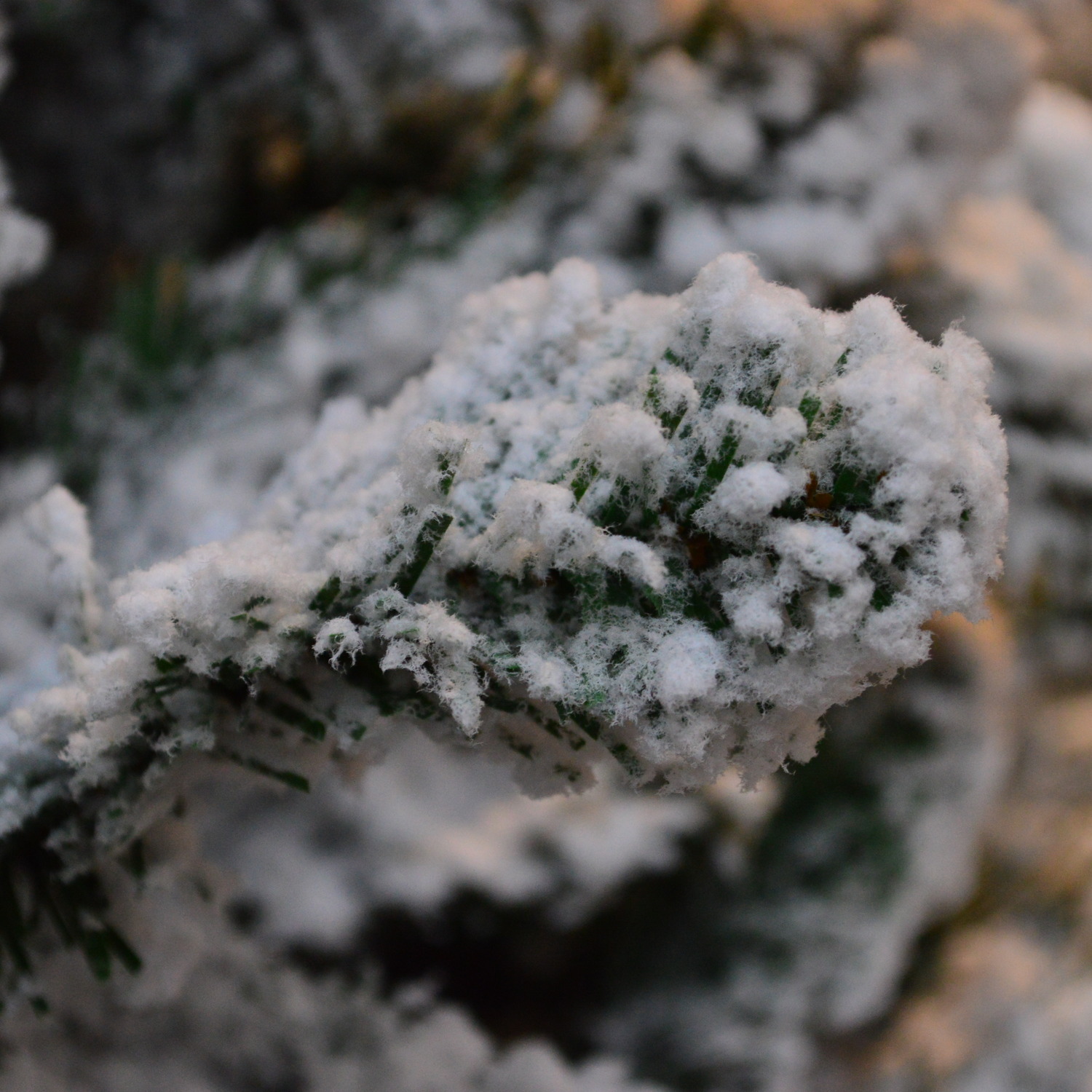Premier 7ft (2.1m) Snow Valley Fir Christmas Tree